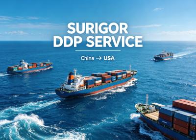 China China to USA Sea Freight Express with Real-time Tracking and DDP Service for Small Volume Shipments for sale