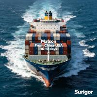 China Premium Express Sea Freight with 14-16 Days Transit and DDP Shipping Service for Fast Ocean Freight for sale