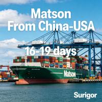 China Premium Express Sea Freight with 14-16 Days Transit and DDP Shipping Service for Fast Ocean Freight for sale