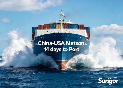China Premium Express Sea Freight with 14-16 Days Transit and DDP Shipping Service for Fast Ocean Freight for sale