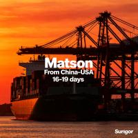 China Matson-fastest ship from China to USA with 14 Days Transit and Door-to-Door Delivery for sale