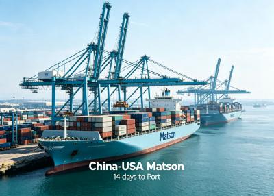 China Sea Freight with 14 Days Transit and All-Inclusive DDP for Premium Shipping Service with LCL Consolidation for sale