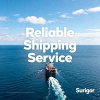 China DDP Shipping to USA with Delivered Duty Paid and 19-35 Days Transit for 12KG Minimum Cargo via Sea Freight for sale