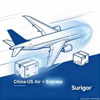 China Cost-Effective LCL Sea Freight DDP Shipping Service with 22-25 Days Door-to-Door Delivery and Single Point of Contact for sale