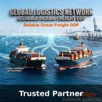 China FCL DDP Service with 9 Years Experience for Canada Nationwide Coverage and Double Clearance Duty Paid for sale