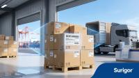 China LCL Sea Freight Truck Delivery Service China USA Cargo Under 15 CBM 2026 Faster Transit for sale