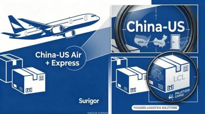 China DDP Shipping Service LCL Sea Freight Truck Delivery China to USA 2026 All Inclusive for sale