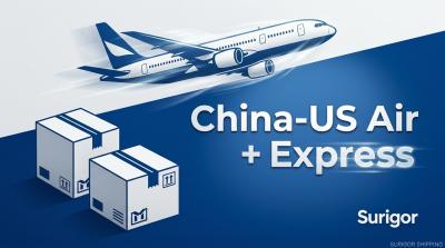 China Affordable DDP Shipping Small Business Importers China to USA No Hidden Fees 2026 for sale