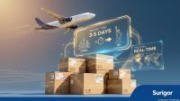 China OA 16 Day Economy LCL Trucking DDP Sea Freight China to LA Door Delivery for sale