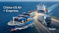 China OA 16 Day Economy LCL Trucking DDP Sea Freight China to LA Door Delivery for sale