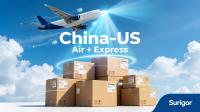 China Detroit FCL DDP Full Container Load Shipping China to USA Door Delivery Service for sale