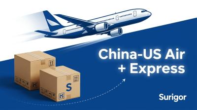 China Miami FCL DDP Full Container Load Shipping China to USA Door Delivery Service for sale