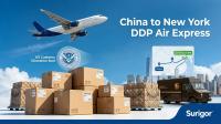 China DDP Air Express Service China New York JFK Door-to-Door Duty Paid Customs Cleared for sale