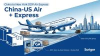 China DDP Air Express Service China New York JFK Door-to-Door Duty Paid Customs Cleared for sale