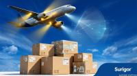 China Air Freight DDP Camp Lighting Power Lanterns China USA Door Delivery Duty Paid Service for sale