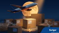China Air Freight DDP Halloween Decorations Props China USA Door Delivery Duty Paid Customs Cleared for sale