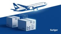 China Air Freight DDP Halloween Decorations Props China USA Door Delivery Duty Paid Customs Cleared for sale