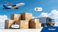 China Air Truck DDP Battery Products China USA Door Delivery Duty Paid Customs Cleared for sale