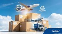 China Air Truck DDP Shipping Agent China USA Door Delivery Duty Paid Customs Cleared for sale