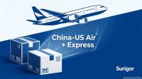 China Air Truck DDP FBA Delivery China USA Door Delivery Duty Paid Customs Cleared for sale