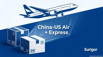 China Air Truck DDP FBA Delivery China USA Door Delivery Duty Paid Customs Cleared for sale