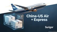 China Air Truck DDP Sea Air Comparison China USA Door Delivery Duty Paid Customs Cleared for sale