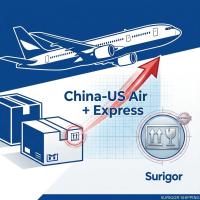 China Hazmat Dangerous Goods Air Sea Freight Service China USA Door Delivery Duty Paid Customs Cleared for sale