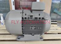 China Three Phase Squirrel Cage Motors SIMOTICS 1LE1001-1CB23-4AA4-Z for sale