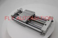 China Magnetic Couple Type Rodless Cylinder Slide Rule / Ball Bearing CY1L20L-150 CY1L Series for sale