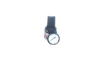 China Air Preparation Units and Accessories Filter Regulators for sale