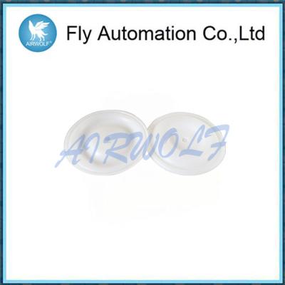 China Non Metal Pump Diaphragm Repair Kit 15k312 1509 Graco PTFE Material for sale