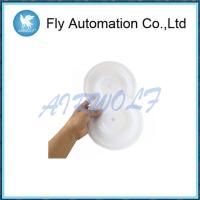 China Non Metal Pump Diaphragm Repair Kit 15k312 1509 Graco PTFE Material for sale