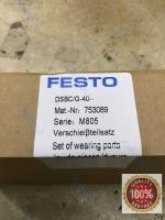 China FESTO ISO15552 VDMA24562  TPE-U NBR Wearing Part  DSBC/G-32-- 753088 DSBC/G-40-- 753089 DSBC/G-50-- 753090 DSBC/G-63-- 753091 DSBC/G-80-- 753092 DSBC/G-100-- 753093 DSBC/G-125-- 8004985 DSBC/G-160 for sale
