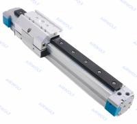 China FESTO Mechanical Rodless Cylinder DGPL Linear Drives DGPL-25-250-PPV-A-B-KF 526649 DGPL-25-400-PPV-A-B-KF 526650 DGPL-25-500-PPV-A-B-KF 526651 for sale