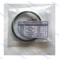 China NBR FKM Bladder assembly and seal kits for Hydac SB330 400 Accumulators -10°C...+80°C 236088 236089 376253 235335 235290 353621 376249	365263 353606 237624 236171 353609 236046 240917 2112097 2127255 for sale