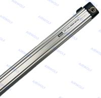 China Anodized aluminum PARKER OSP-P Rodless linear drives Pneumatic cylinder Bore size 10mm to 80mm Stroke 100mm to 3000mm OSP-P10 OSP-P16 OSP-25 OSP-P32 OSP-P40 OSP-P50 OSP-P63 OSP-P80 for sale