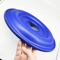 China Blue Color Diaphragm Repair Kit 3 Inch Rubber Santoprene Diaphragm Pump for sale
