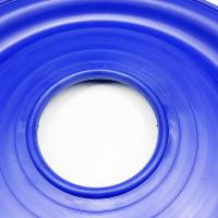 China Blue Color Diaphragm Repair Kit 3 Inch Rubber Santoprene Diaphragm Pump for sale