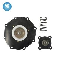 China C113928 Diaphragm Repair Kit For SCXE353.060 for sale