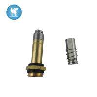 China Armature Plunger P10 Integrated Pilot Coil BC10 Autel Pulse Jet Valves for sale