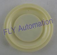 China Autel Diaphragm Repair Kits 846003002 DN40 TPE Seal White repair kits for sale