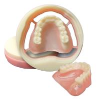 China Yucera Pmma Multilayer  98mm Dental Materials Products  CAD CAM Pmma Disc for sale