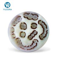 China Yucera Superior Dental Monolayer PMMA Ensuring High Performance in Prosthetic Manufacturing for sale