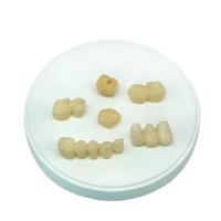 China Dental Zirconia Coloring Liquid 16 Colors 50ml Volume Zirconia Dyeing Solution with 1min Dipping Time for Dental Lab for sale