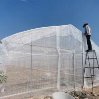 China Agricultural Plastic Polytunnel Greenhouse For Vegetables And Seeding for sale