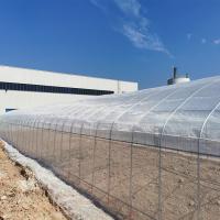 China Agricultural Plastic Polytunnel Greenhouse For Vegetables And Seeding for sale