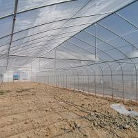 China Agricultural Plastic Polytunnel Greenhouse For Vegetables And Seeding for sale