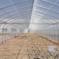 China Agricultural Plastic Polytunnel Greenhouse For Vegetables And Seeding for sale