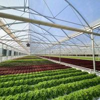China Flat High Density Nft Grow System Nutrient Film Technique Hydroponic System for sale