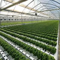 China Flat High Density Nft Grow System Nutrient Film Technique Hydroponic System for sale
